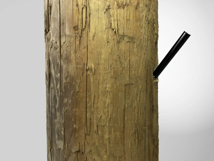 Cobra™ Rods - Preservative Borate Rods – Log Home Mart